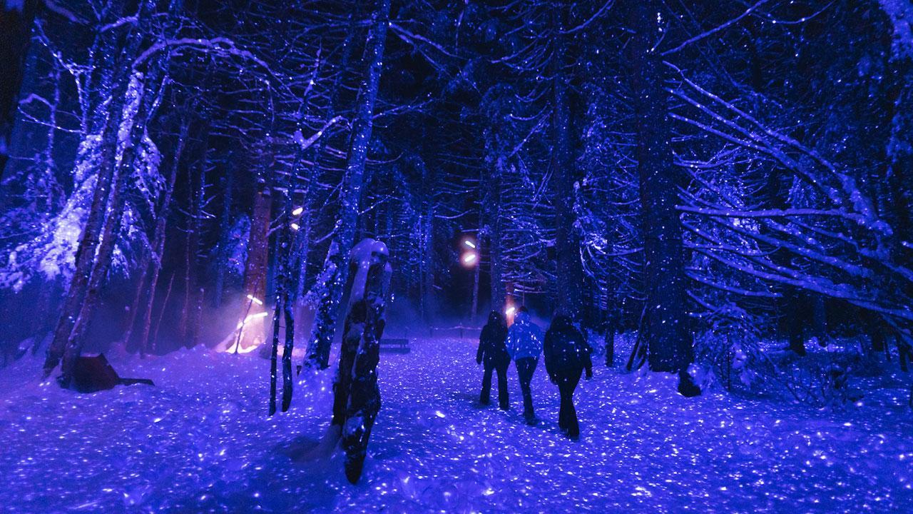 Les Gets Ski Holidays, Luxury Les Gets Ski Chalets | Leo Trippi