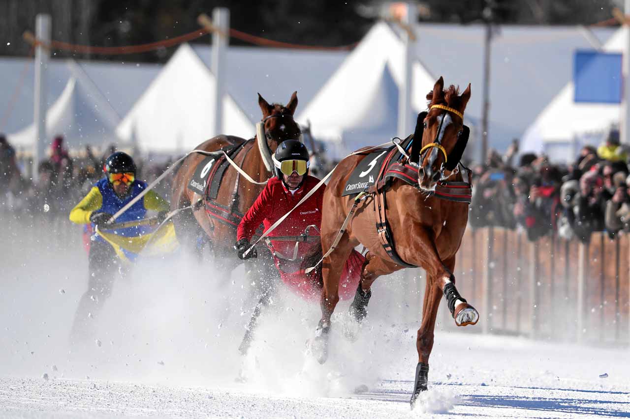 Guide to White Turf - St Moritz | Leo Trippi